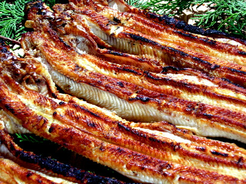 【楽天市場】【穴子丼】 アナゴ丼 あなご丼 穴子飯 アナゴ飯 あなご飯 穴子どんぶり アナゴどんぶり あなごどんぶり 明石のお土産 産地直送 ...