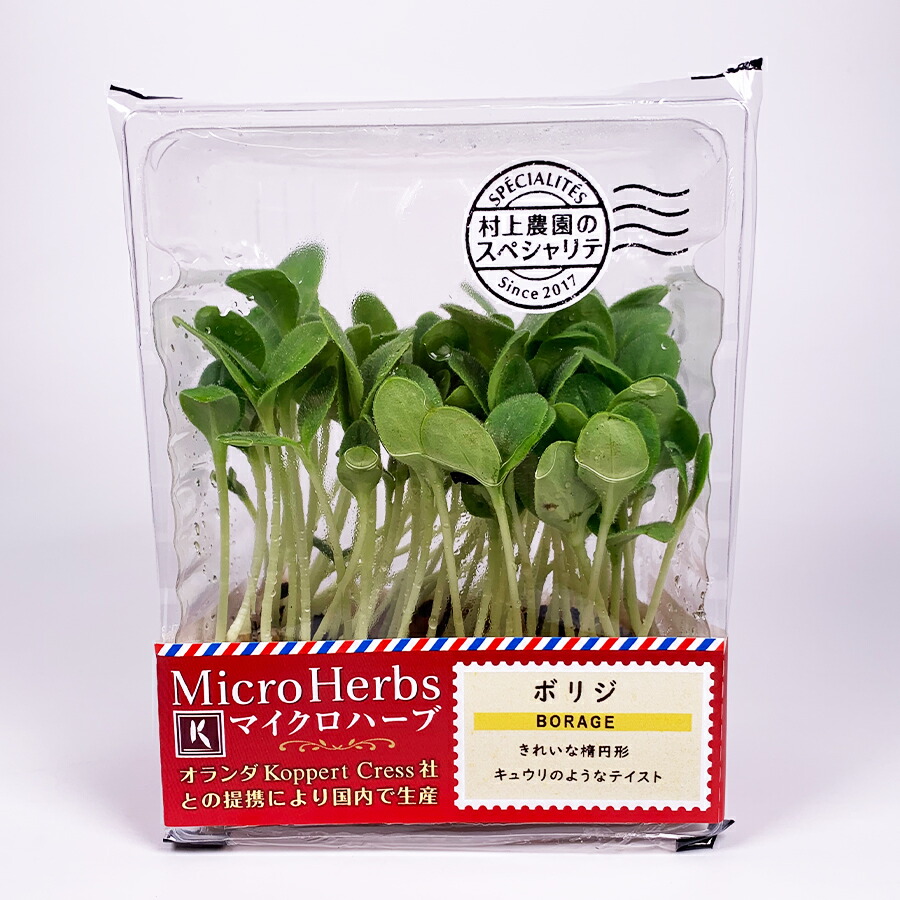 【楽天市場】ボリジ マイクロハーブ 村上農園 Murakami Farm：夜の八百屋さん