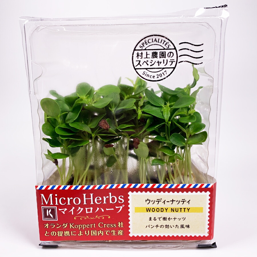 【楽天市場】ウッディーナッティ マイクロハーブ 村上農園 Murakami Farm：夜の八百屋さん