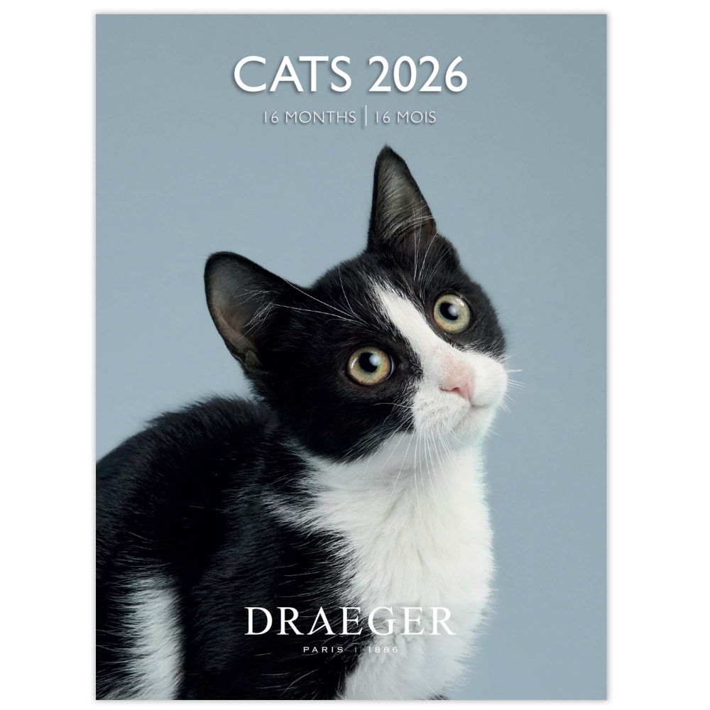 【楽天市場】ドレジャー 2026年 スモールカレンダー CATS 猫 壁掛け カラー写真 スケジュール管理 祝日シール付き：ユージニア 楽天市場店