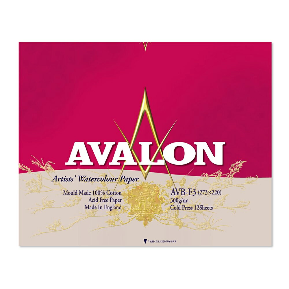【楽天市場】AVALON アヴァロン 水彩紙 コットン100％ 300g/m2 中目 ブロック F3 (273×220mm) 12枚とじ AVB-F3：ゆめ画材