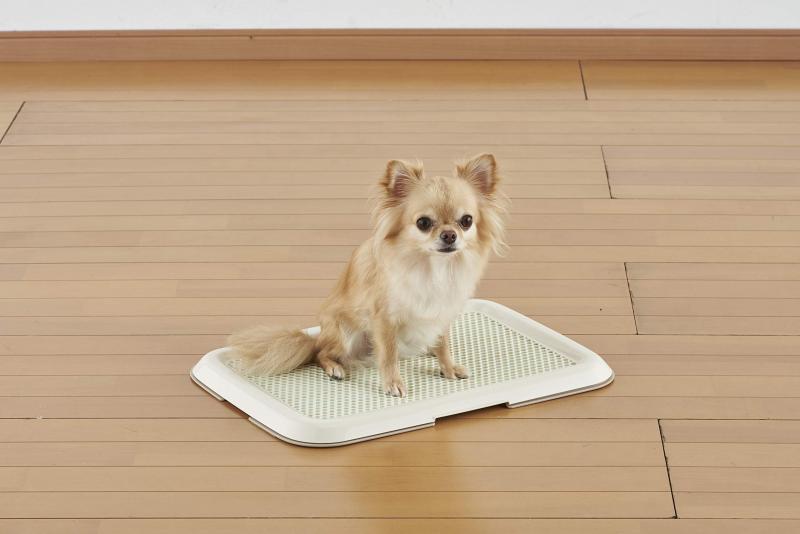 【楽天市場】ボンビアルコン (Bonbi) 薄型しつけるトレー：ゼストネーションジャパン2号店