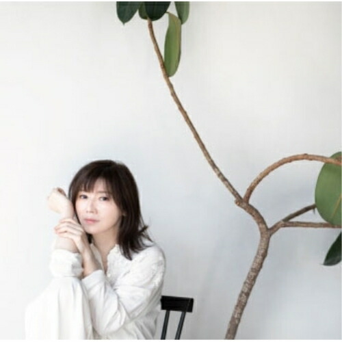 【楽天市場】CD / 柴田淳 / 901号室のおばけ (歌詞付) / VICL-66023：靴下通販ZOKKE